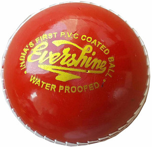 Quinergys High Energy Accurate Poly Tennis Cricket Windball Cricket ...