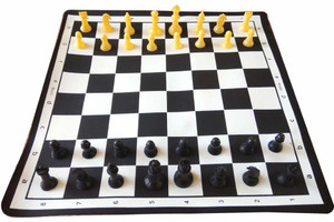 ONEX Foldable Chess Mat with Coins Strategy & War Board Game - Foldable ...