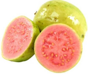 FRESHO RED GUAVA FRUIT(200 Seeds) Seed Price in India - Buy FRESHO RED ...