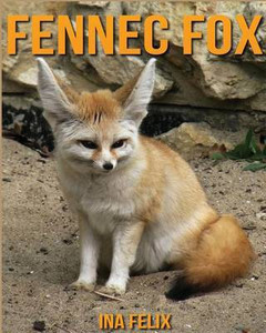 Fennec fox: Buy Fennec fox by Felix Ina at Low Price in India ...