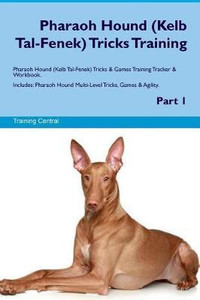 Pharaoh Hound (Kelb Tal-Fenek) Tricks Training Pharaoh Hound Tricks ...