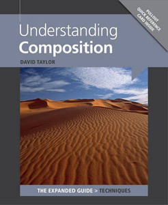 Understanding Composition: Buy Understanding Composition by Taylor D at ...
