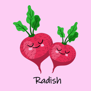 radish |Kids Room Posters|Poster for Play Schools|Cartoon Poster Paper ...