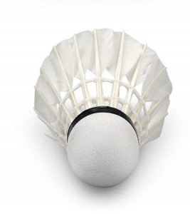 Quinergys ® Lightweight and Durable Gold Ace Feather Shuttlecock (Speed ...