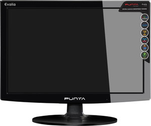Punta 39.12 cm (15.4 inch) HD+ TN Panel Monitor (C154 15.4) Price in ...