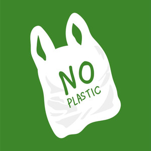say no to plastic |save environment|NO plastic|save earth|size:12x18 ...