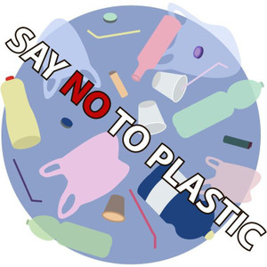 say no to plastic |save environment|NO plastic|save earth|size:12x18 ...
