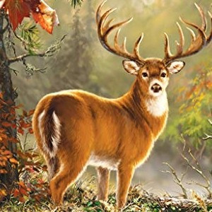 SunsOut Whitetail 1000 Piece Jigsaw Puzzle By - Whitetail 1000 Piece ...