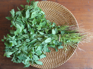 Green India Seeds batua Vegetables Hybrid Fress Seeds Seed Price in ...