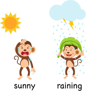 KD difference between sunny and raining Sticker Poster|Kids learnig ...