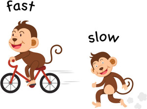 difference between fast and slow |poster for kids Paper Print ...