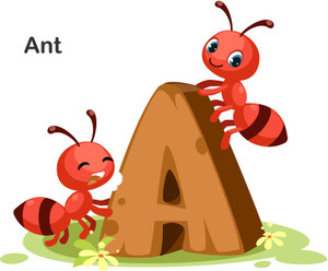 alphabet a for ant |poster for kids Paper Print - Educational posters ...