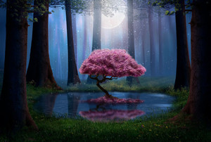 pink tree |moon quotes|wall poster|romantic poster|moon poster Paper ...