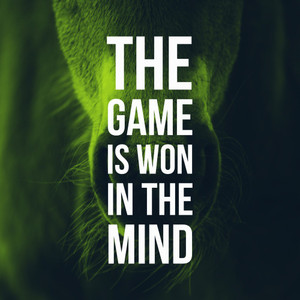 the game is won |Motivational Poster|Inspirational Poster|Gym poster ...