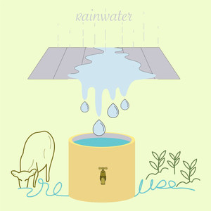 rainwater sticker poster|save water quotes Paper Print - Nature posters ...
