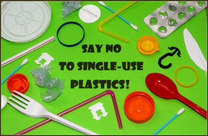 say no to single use plastic |save environment|NO plastic|save Paper ...