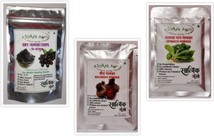 Satvik Agro Combo Offer, Dry Jamun Chips, Beetroot, Spinach Powder ...