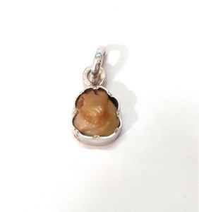 Pandit NM Shrimali Certified Machh Mani Stone/Mach Mani Stone Silver ...