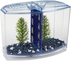 VENY'S Betta House Double | Betta Tank Rectangle Aquarium Tank ...