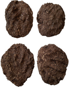 Earth Angels ARYA DESI COW DUNG Price in India - Buy Earth Angels ARYA ...