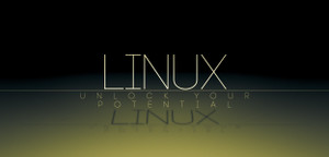 KD linux Sticker Poster|Poster for room|High quality poster|size:12x18 ...