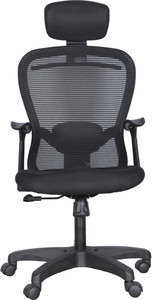 Radian Fabric Office Executive Chair Price in India - Buy Radian Fabric ...