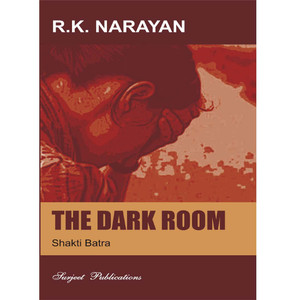 The Dark Room : A Critical Introduction, Comprehensive Summary and ...