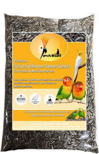 Parrots Wizard Parrots Wizard 1.8 kg Dry Adult, Young, New Born Bird ...