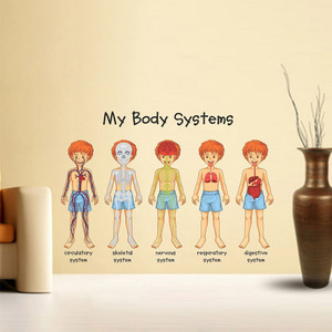 HAPPYSTICKY 90 cm My Body System|Wallstickers|Pvc Vinyl|Non-Reusable ...
