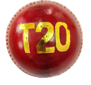 BIGPRINT SPORTS T20 Cricket Leather Ball Cricket Leather Ball - Buy ...
