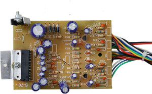 CLASSIC GOLD 6283 IC Audio Board with Bass Treble 30 W Stereo Amplifier ...