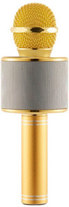 little monkey DYNAMIC SOUND Bluetooth Handheld Karaoke Wireless ...