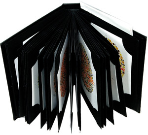 ECP Ishihara Colour Vision Test Book For Color Deficiency 38 Plates ...