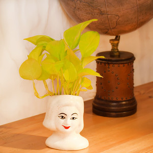 Masu Homes Money Plant Price in India - Buy Masu Homes Money Plant ...