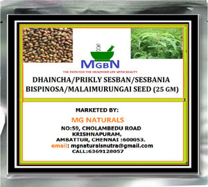 MGBN DHAINCHA/PRIKLY SESBAN/SESBANIA BISPINOSA/MALAIMURUNGAI SEED (25 ...
