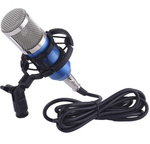 BLUEBERRY C-8 Professional Studio Condenser Microphone Kit for Singing ...
