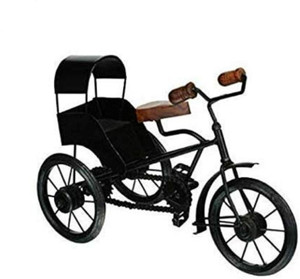 sk handicraft Wooden Wrought Iron Cycle Rickshaw Toy for Kids and Home ...