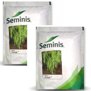 seminis falguni Seed Price in India - Buy seminis falguni Seed online ...