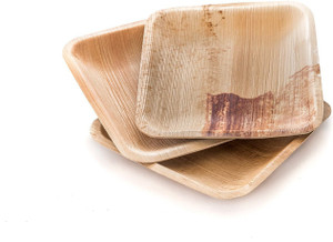 Varni Creation Use and Throw Dishes, Disposable Plate, Palm Entree ...