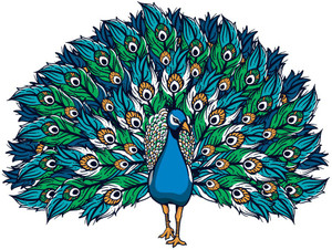 100yellow 90 cm Colorful Peacock Wall Sticker Self Adhesive Sticker ...