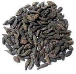 VINARGHYA Myrobalan / Bal Harada / Choti Harad / Hirdo / Harana / Aiate ...