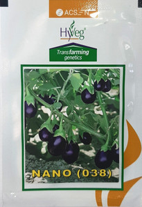 ACSEN HYVEG PVT LTD EGG PLANT Seed Price in India - Buy ACSEN HYVEG PVT ...