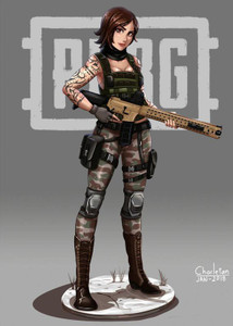 pubg Premium posters Games wall poster( posters,no tape needed,size ...