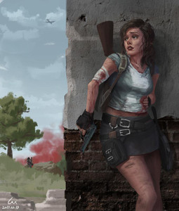 pubg Premium posters Games wall poster Paper Print - Gaming posters in ...