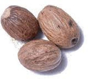 VINARGHYA Nutmeg / Jaiphal / Myristica Fragrans / Jaifal Seed Price in ...