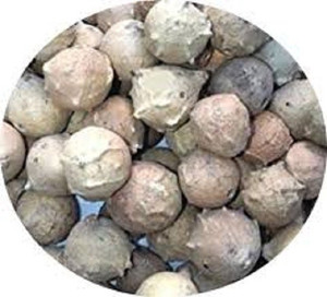 VINARGHYA Majuphal / Manjuphal / Majufal / Mazu / Quercus Infectoria ...