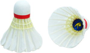 Hipkoo Sports Professional Player Shuttles (6 Pc) Feather Shuttle ...