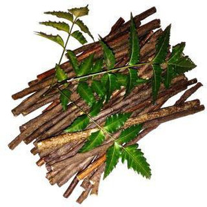Trend NEEM - Datun|Twig|Datwan|Stick || 20 pcs. || Toothpaste ...