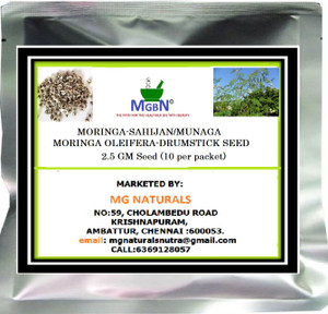 MGBN MORINGA-SAHIJAN/MUNAGA-MORINGA OLEIFERA-DRUMSTICK SEED-2.5 GM (10 ...