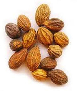 VINARGHYA Rangari Harada / Haritaki / Myrobalan / Hirdo / Pulo Harda ...